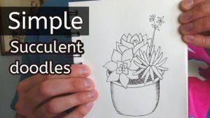 20 Easy Succulent Drawing Ideas - Draw a Succulent