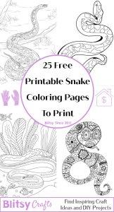 25 Free Snake Coloring Pages for Kids and Adults