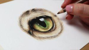 25 Easy Cat Eye Drawing Ideas - How to Draw a Cat Eye