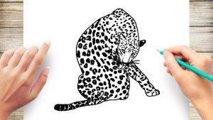 25 Easy Leopard Drawing Ideas - How to Draw