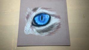 25 Easy Cat Eye Drawing Ideas - How to Draw a Cat Eye