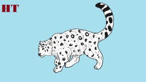 25 Easy Snow Leopard Drawing Ideas - How to Draw