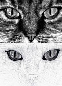 25 Easy Cat Eye Drawing Ideas - How to Draw a Cat Eye