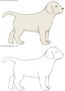 25 Easy Puppy Drawing Ideas - How to Draw a Puppy