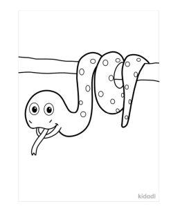 25 Free Snake Coloring Pages for Kids and Adults