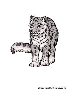 25 Easy Snow Leopard Drawing Ideas - How to Draw