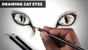 25 Easy Cat Eye Drawing Ideas - How to Draw a Cat Eye