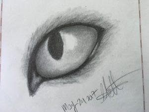 25 Easy Cat Eye Drawing Ideas - How to Draw a Cat Eye