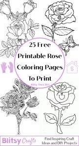 20 Free Rose Coloring Pages for Kids and Adults