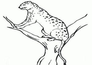25 Free Cheetah Coloring Pages for Kids and Adults