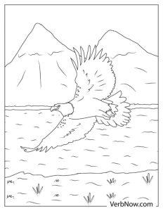 25 Free Bald Eagle Coloring Pages for Kids and Adults
