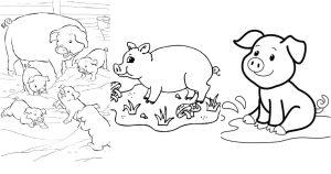 20 Free Pig Coloring Pages for Kids and Adults