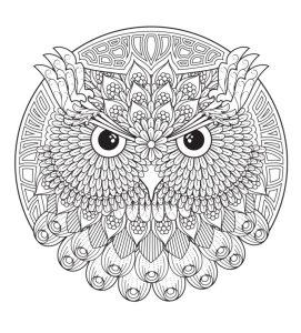 25 Free Owl Coloring Pages for Kids and Adults