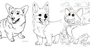 20 Cute Corgi Coloring Pages (Free Printable) - Blitsy