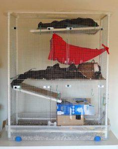 DIY Rat Cage - Step by Step Guide - Blitsy