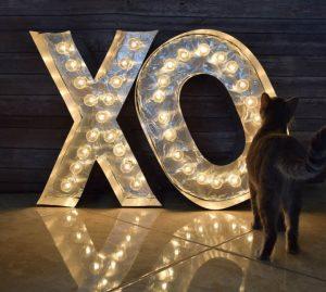 DIY Marquee Letters - Step by Step Guide - Blitsy