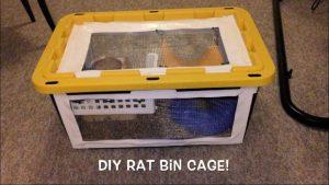 DIY Rat Cage - Step by Step Guide - Blitsy