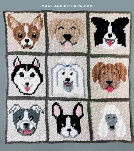 40 Free c2c Crochet Patterns (How to With Easy Pattern)