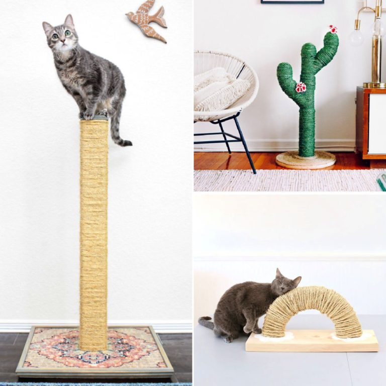 25 Free DIY Cat Tree Plans with Detailed Instructions - Blitsy